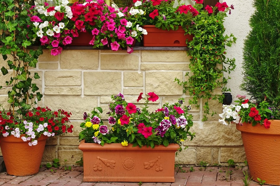 5 DIY Ideas in your Backyard to Enjoy Under Outdoor Window Shades